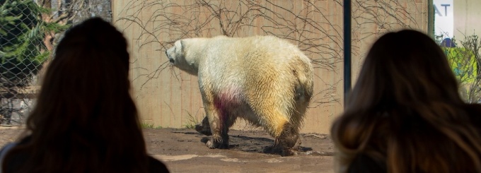 Buffalo Zoo - Department of Anthropology - University at Buffalo
