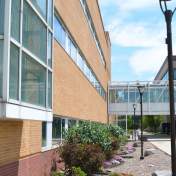 Undergraduate - Department of Mathematics - University at Buffalo