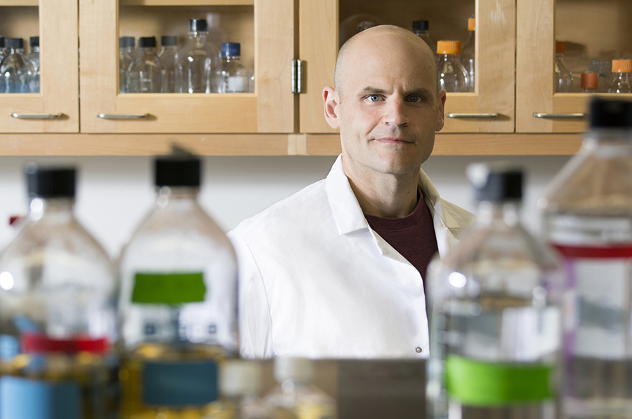 Study: In heroin addiction, glial cells play key roles in regulating ...