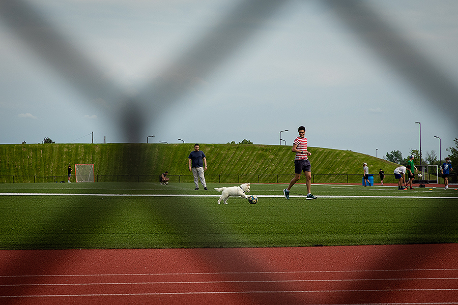 What’s pup at Kunz Field - UBNow: News and views for UB faculty and ...