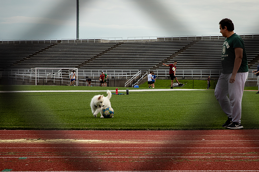 What’s pup at Kunz Field - UBNow: News and views for UB faculty and ...