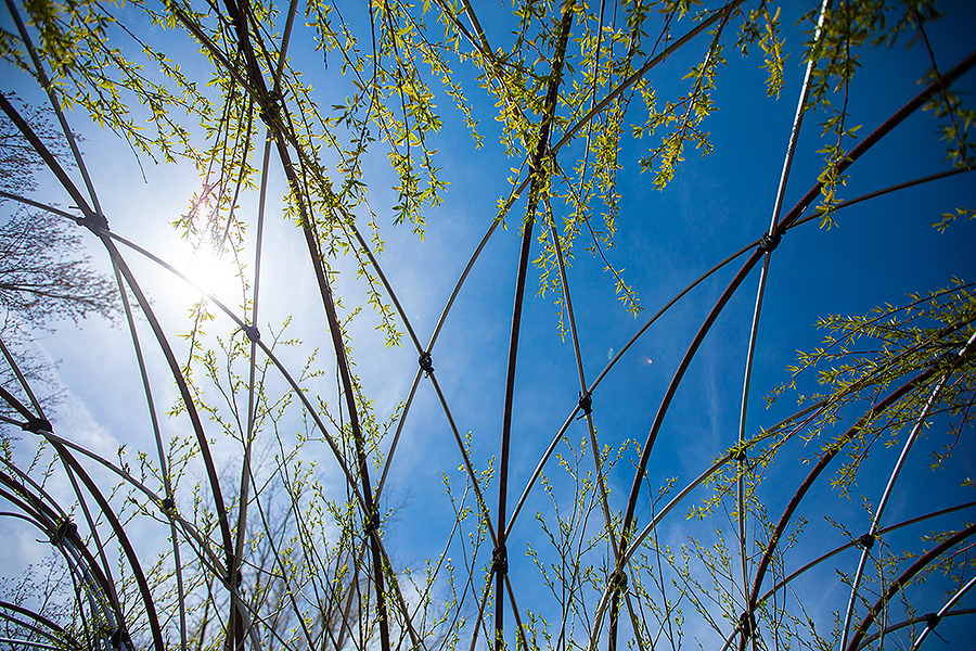 Beyond sustainability - UBNow: News and views for UB faculty and staff ...