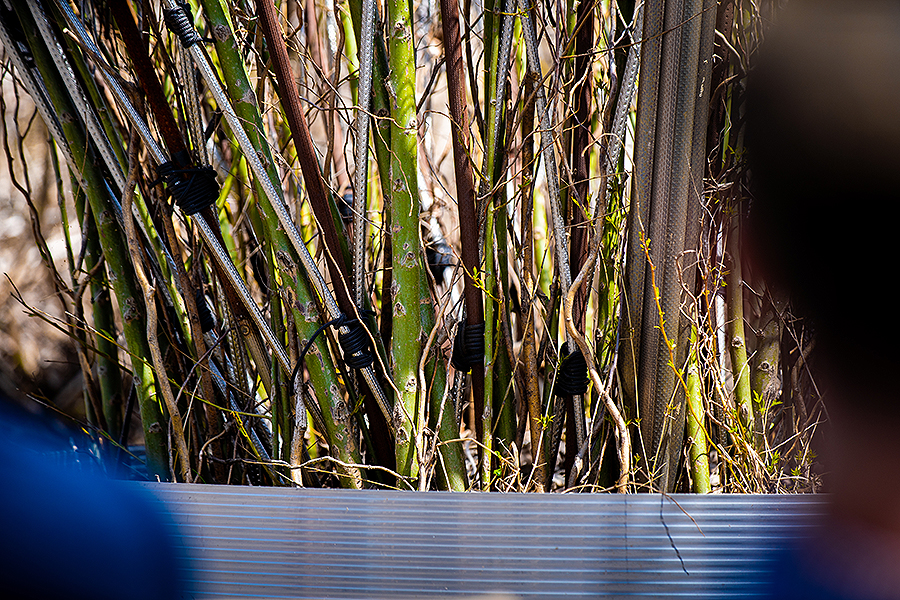 Beyond sustainability - UBNow: News and views for UB faculty and staff ...