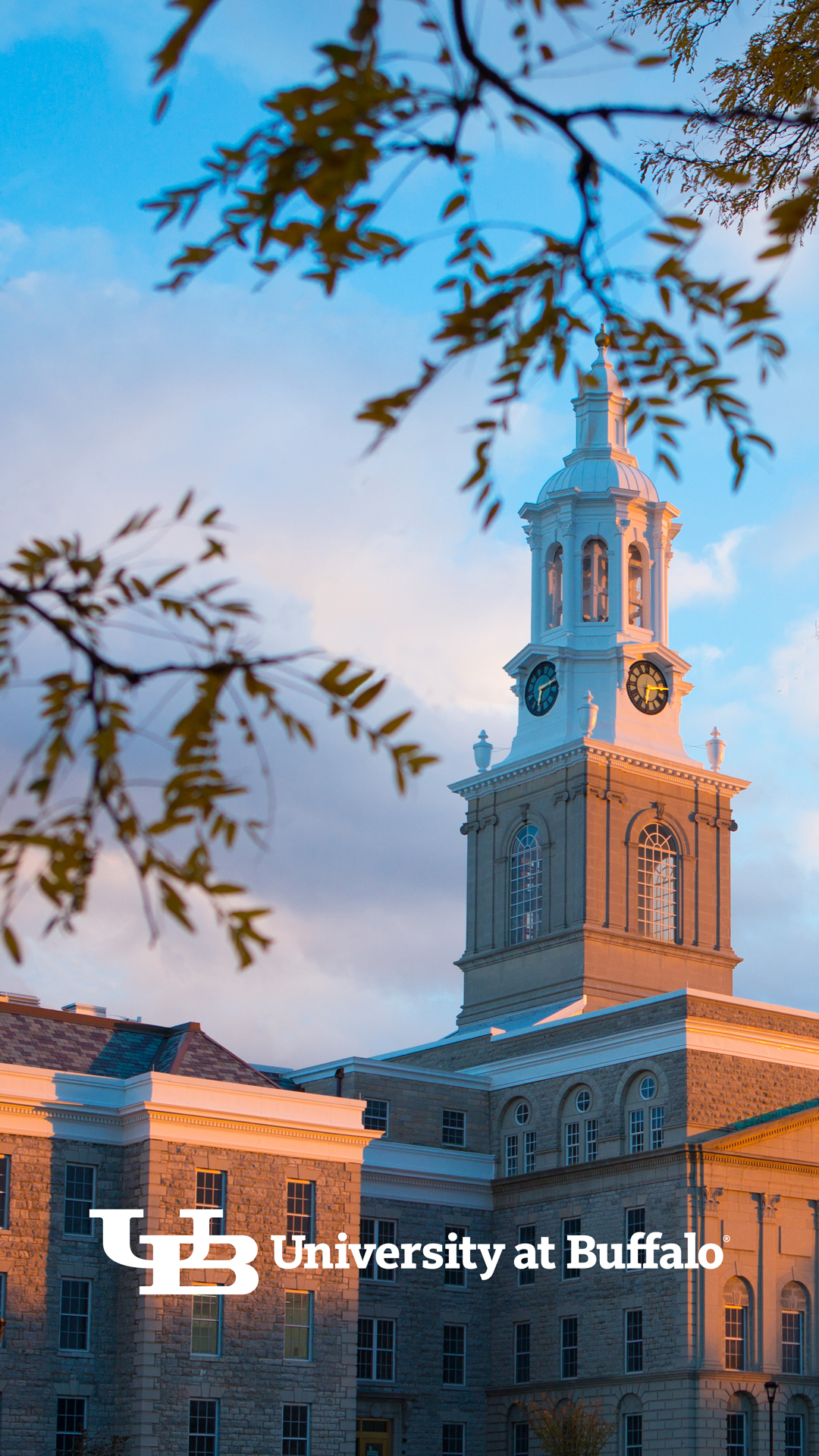 Branded Digital Wallpaper - Identity and Brand - University at Buffalo