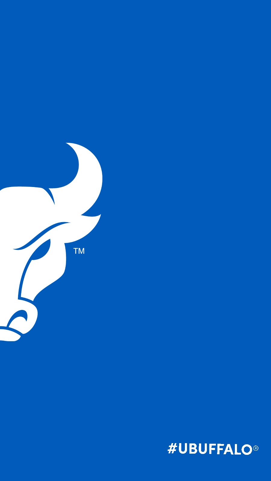 Branded Digital Wallpaper - Identity and Brand - University at Buffalo