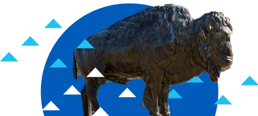 The Campaign for UB - University at Buffalo