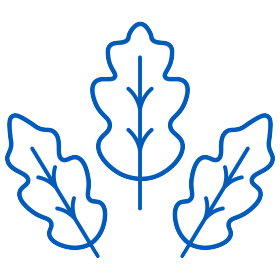 Meet Your Community - Campus Living - University at Buffalo