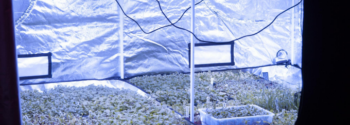 Tiffany Jaeyeon Shin - COE: Genome, Environment and Microbiome ...