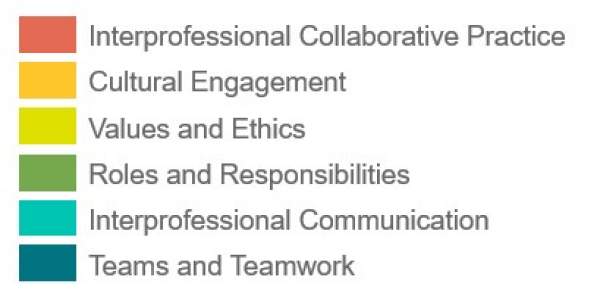 Foundations of Interprofessional Collaborative Practice Online Module ...