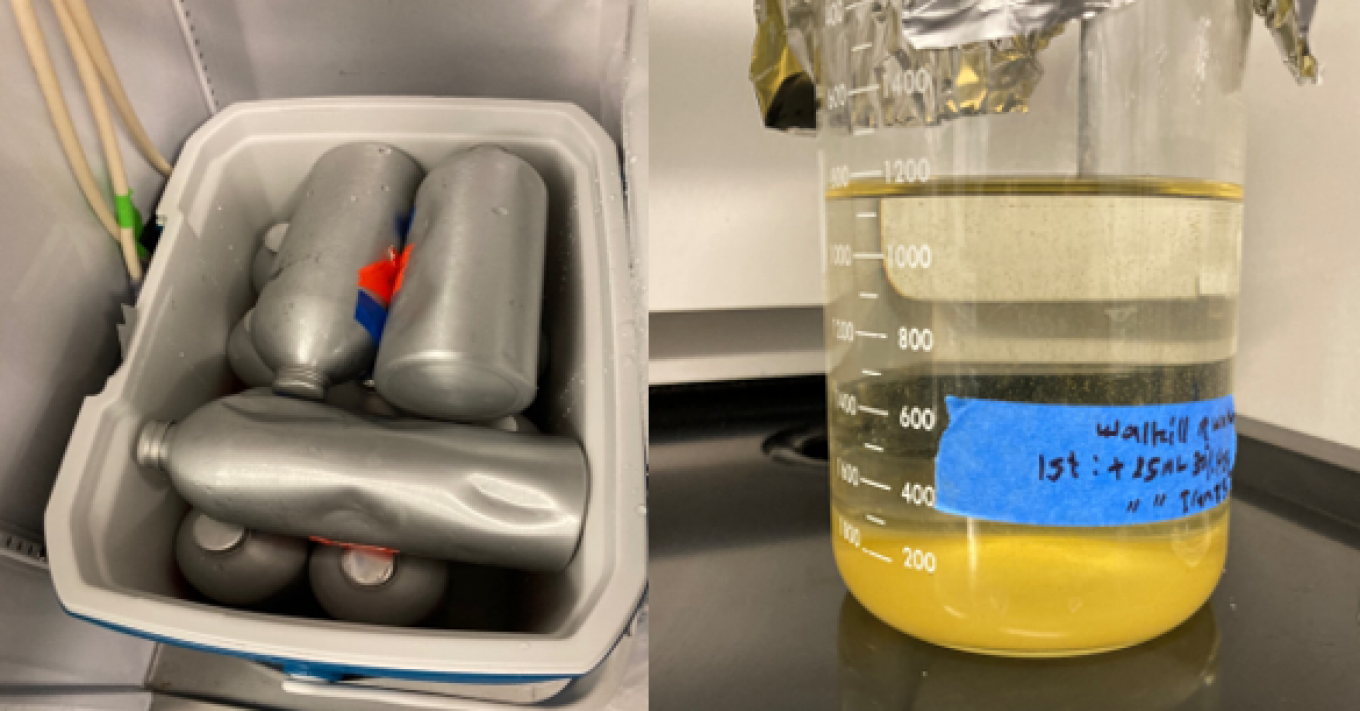 Task 3 - Initiative for Plastics Recycling Research and Innovation ...