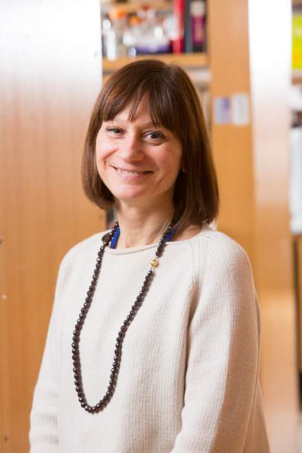 M. Laura Feltri legacy page - Myelin Glia Exploration - University at ...