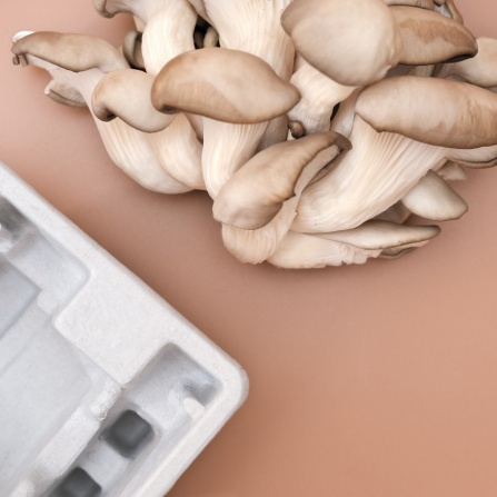 Ecovative - Business & Entrepreneur Partnerships - University at Buffalo