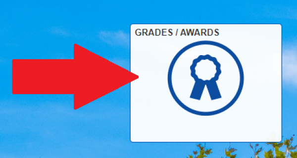 Transcript Request (Official) - Office of the Registrar - University at ...