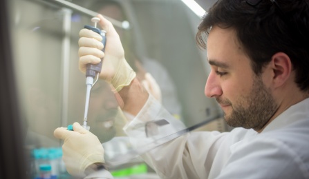 About Us - Stem Cells in Regenerative Medicine Program - University at ...