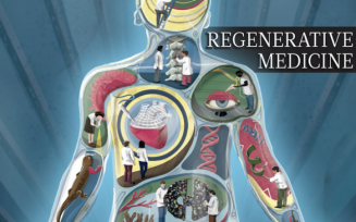 Research - Stem Cells in Regenerative Medicine Program - University at ...