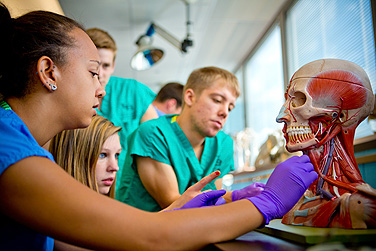 Students bond in Gross Anatomy - UB Reporter